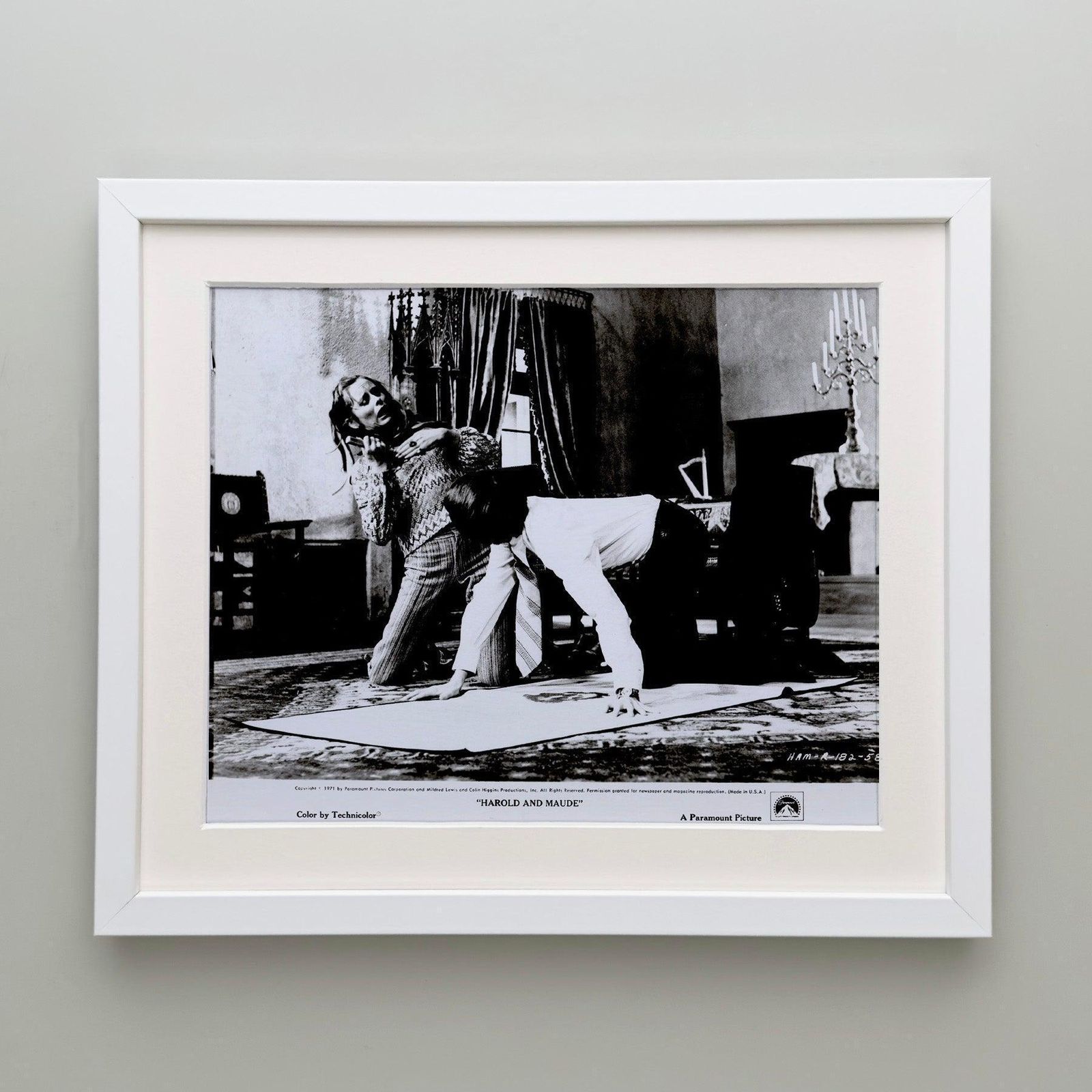 Harold And Maude (1971) Press Publicity Still Framed | Vinterior