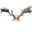 Vintage Large Fallow Buck Antlers, Naturally Shed, On Pine Shield ...