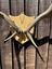 Vintage Large Fallow Buck Antlers, Naturally Shed, On Pine Shield ...