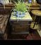Fab Provincial French Marble Top Bedside Pot Cupboard Lamp Table Plant ...