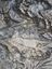 Antique Silver Plate Repoussé Charger By Elkington And Co. 1868 ...