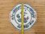 Antique Copeland Spode Indian Tree Plate, English Hand Painted Floral ...