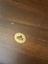 Retro Ercol Golden Dawn Low Drop Leaf Coffee Table | Lucian Ercolani ...