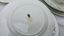 Top Quality Wedgwood Fairmont Bone China Dinner Service | Wedgwood ...