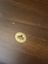 Retro Ercol Golden Dawn Low Drop Leaf Coffee Table | Lucian Ercolani ...