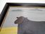 The Black Ewe British Folk Art Sheep Painting Naïve Animal Portrait In ...